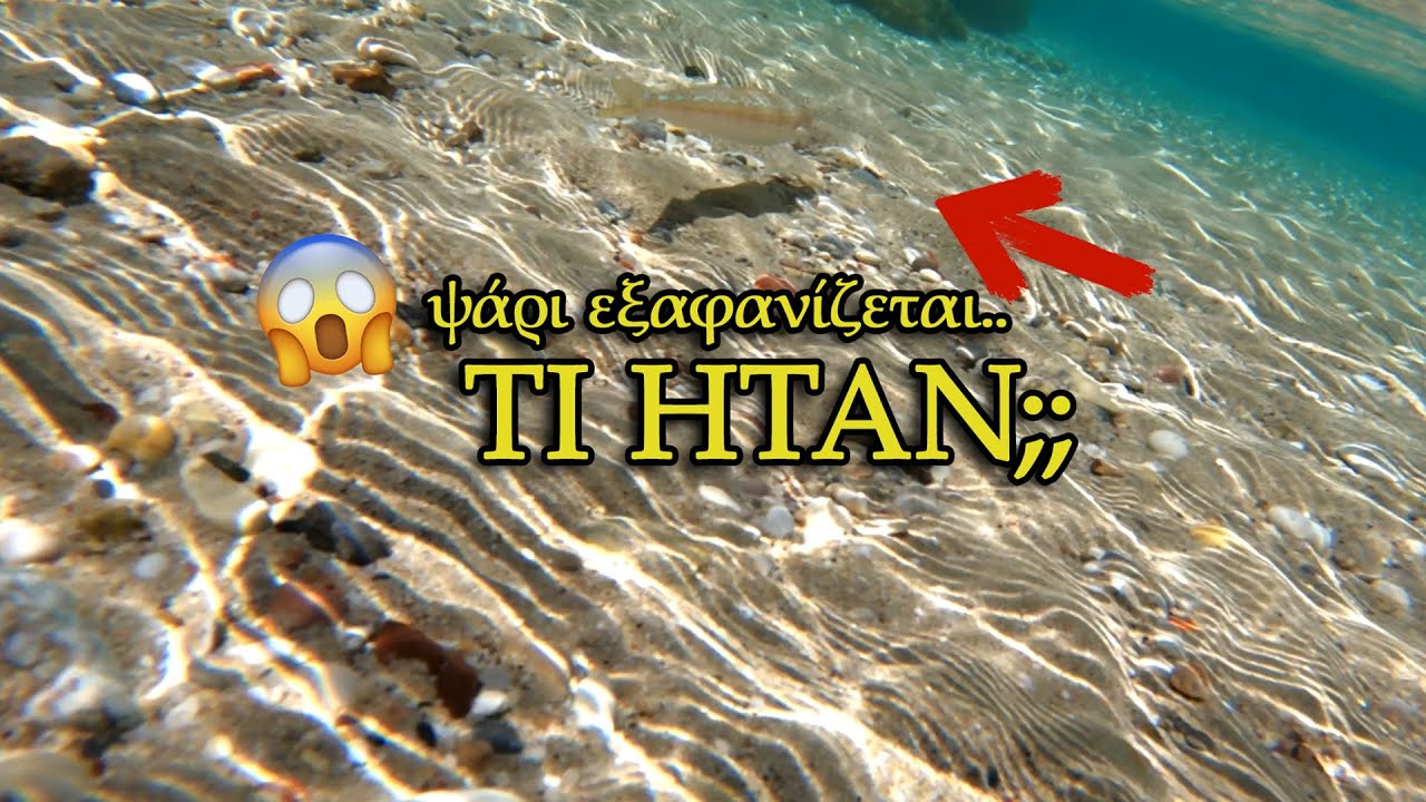 ΤΟ ΨΑΡΙ ΕΞΑΦΑΝΙΣΤΗΚΕ ΜΠΡΟΣΤΑ ΣΤΑ ΜΑΤΙΑ ΜΟΥ 👀 Η ΚΑΜΕΡΑ ΤΟ ΚΑΤΕΓΡΑΨΕ 😨 ...