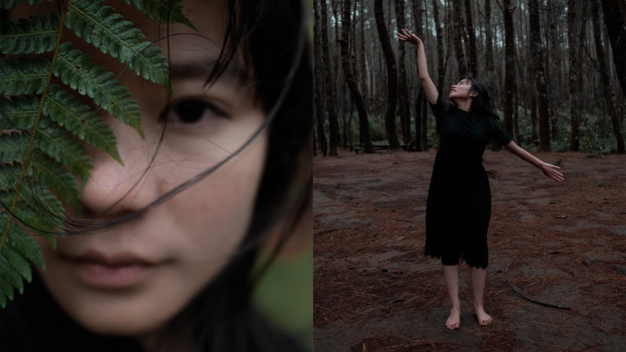 The Pine Soul - A Video By Q - YouTube