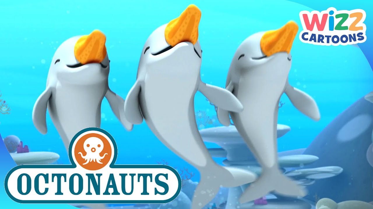 @Octonauts - Dolphins Make Great Friends | Compilation | Wizz Cartoons ...