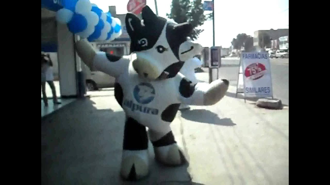 vaca alpura manchas VS doctor simi - YouTube