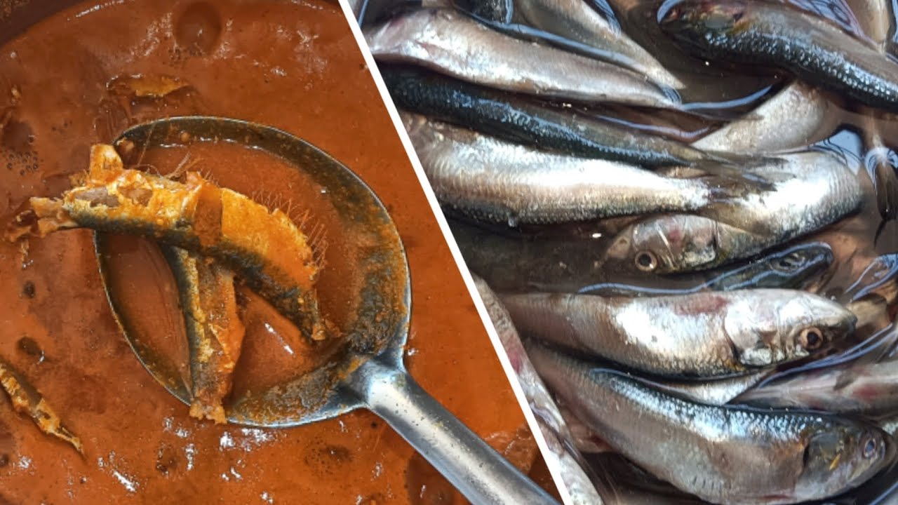 Konkan Style Tasty and delicious Sardine / Tarle / Tale / bhootai fish ...