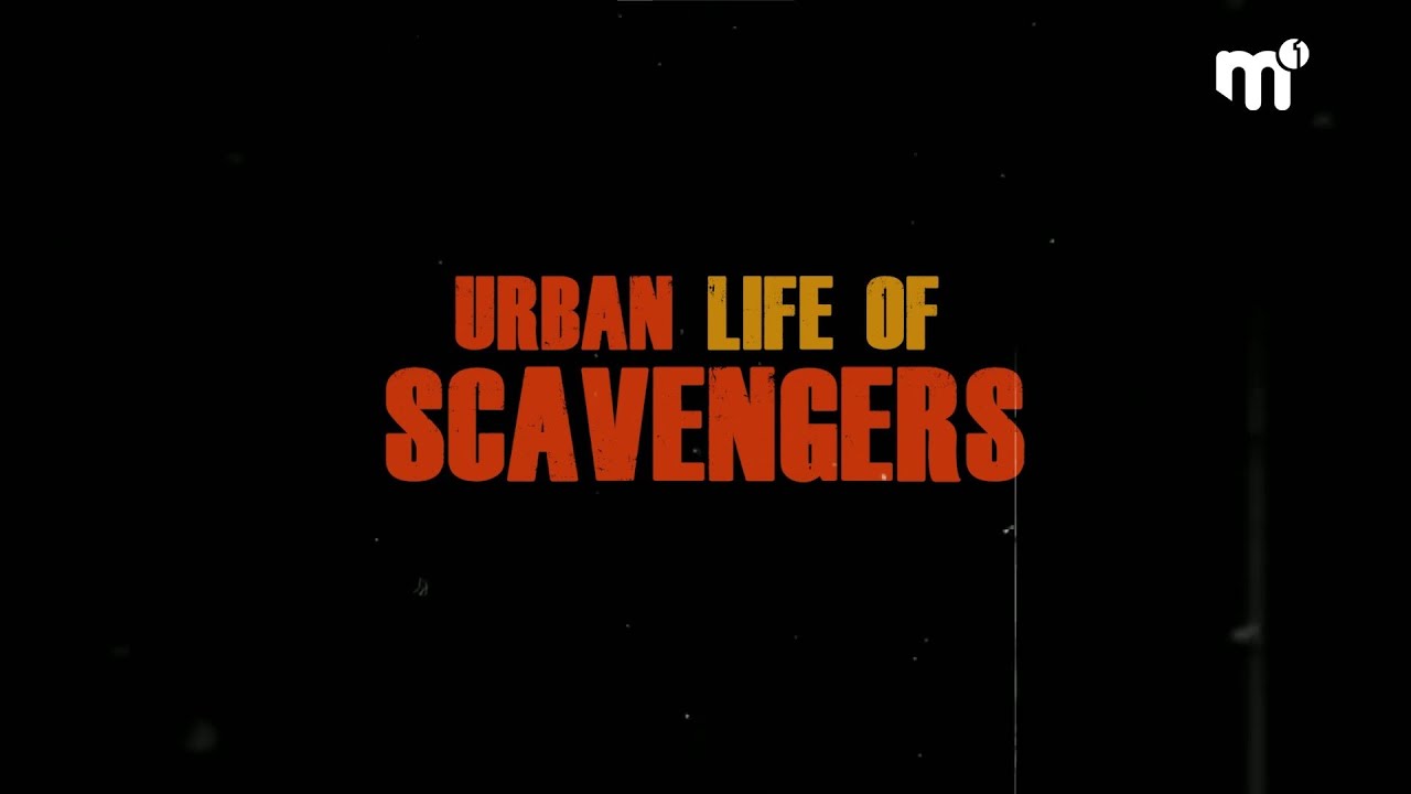 URBAN LIFE OF SCAVENGERS | Documentary | Diploma Project | Mediaone ...