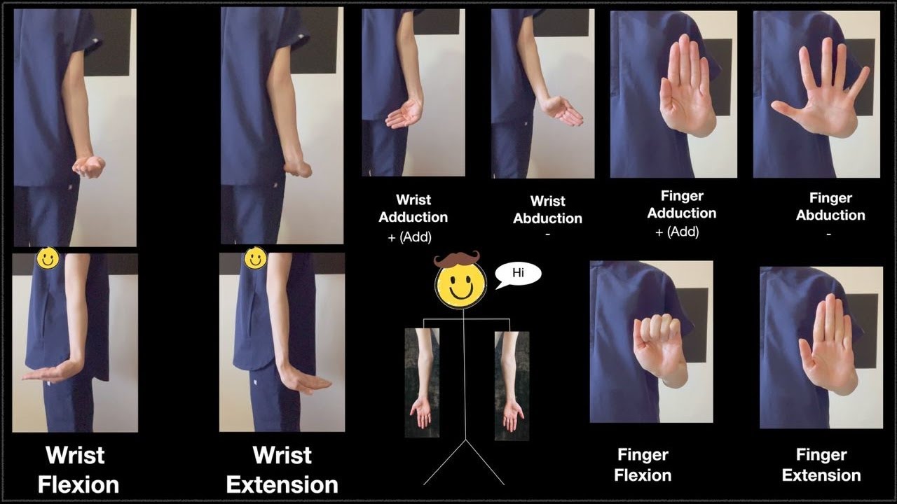 Wrist, Finger Movements: Flexion, Extension, Adduction, Abduction ...