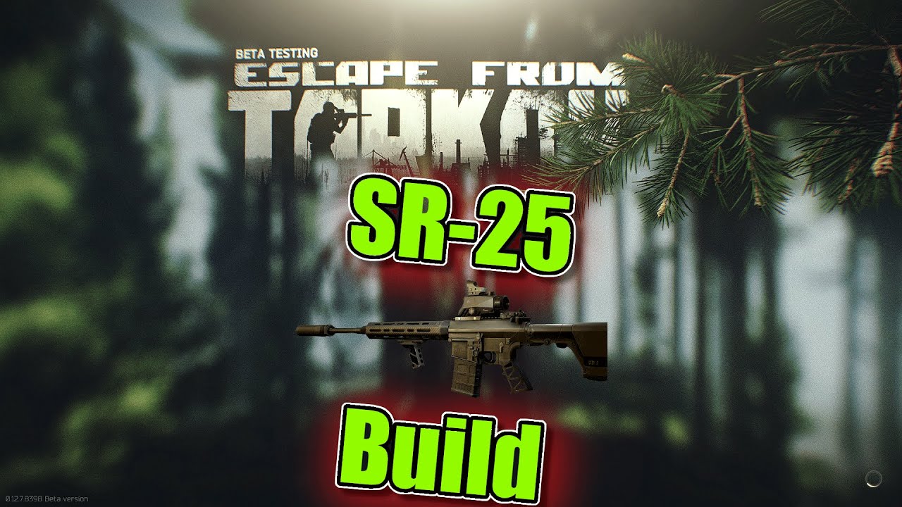 Escape from Tarkov - SR-25 Build - YouTube