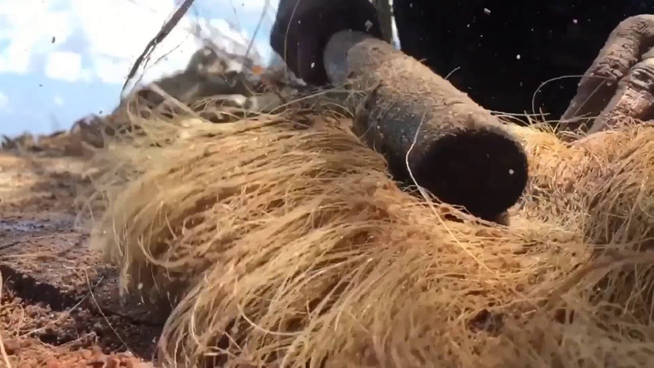 Roanu Veshun by Shuau - YouTube