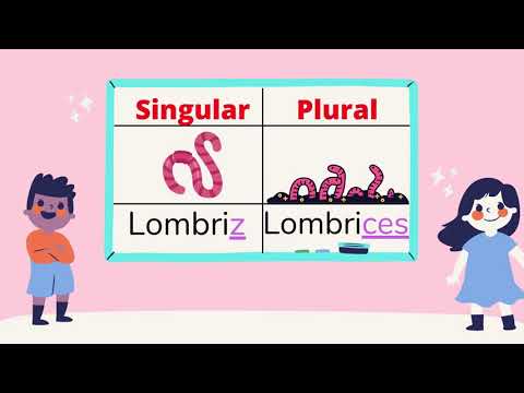 Cápsula Plurales de las palabras terminadas en Z - YouTube