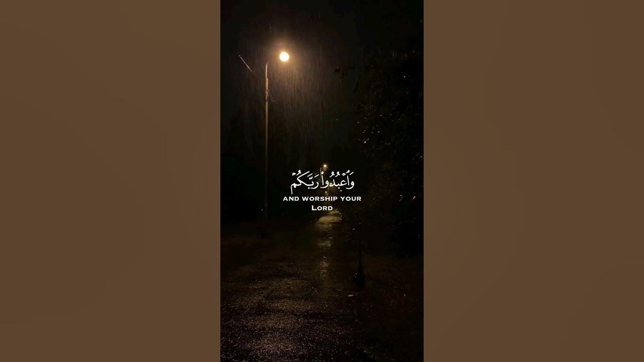 يا أيها الذين آمنوا اركعوا واسجدوا عبدالرحمن مسعد قرآن قران كريم