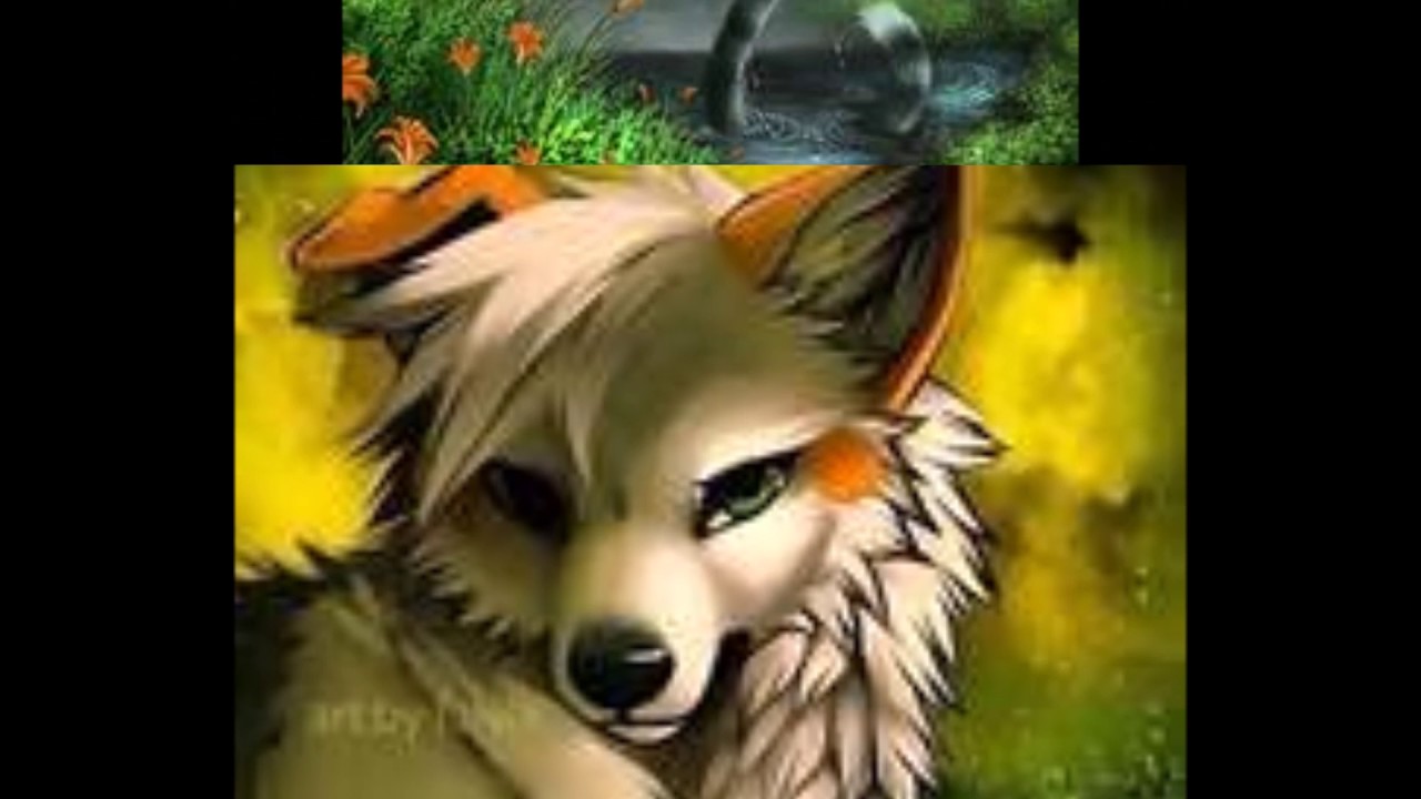 furry-happy - YouTube