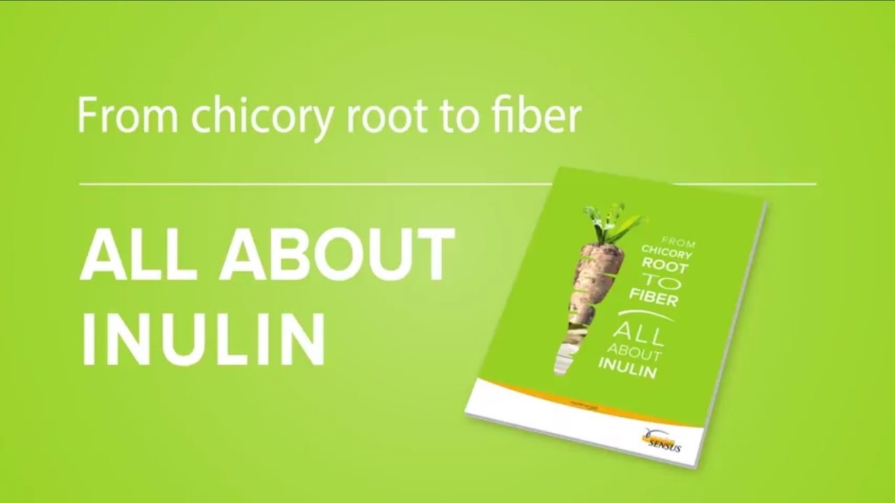 Chicory Root Inulin
