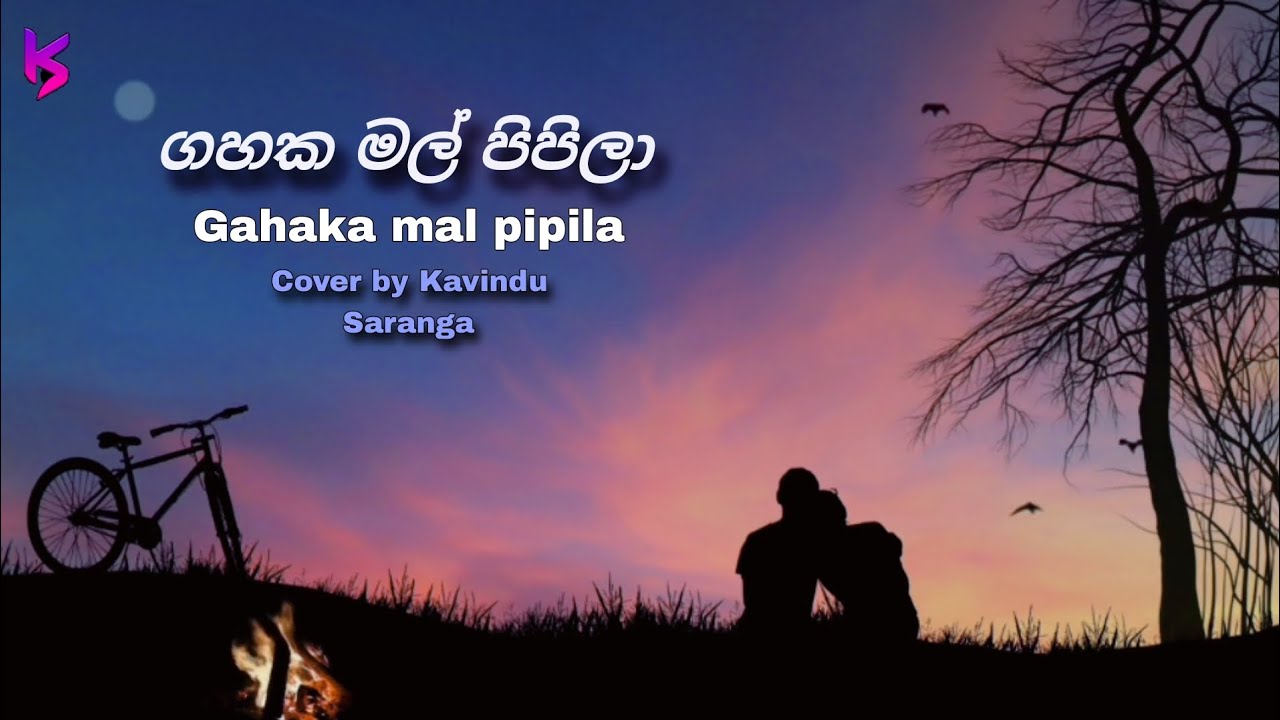 Gahaka Mal Pipila || ගහක මල් පිපිලා...Cover song.#music #trending # ...