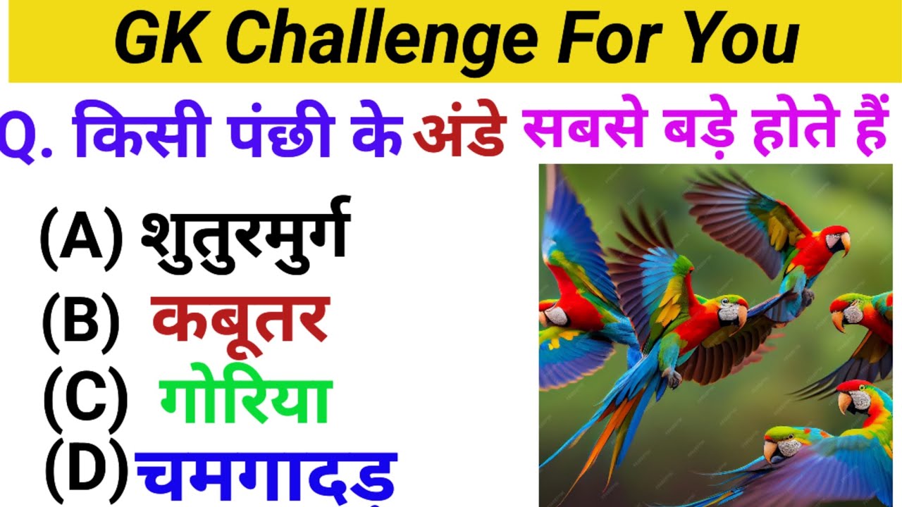 GK Questions| GK Questions and answers | Gk in hindi | GK Quiz | Letslearn today - YouTube