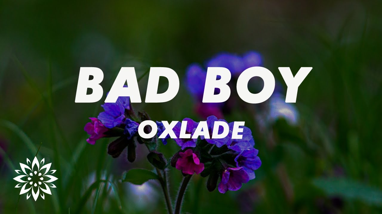 Oxlade - Bad Boy (Lyrics) ft. Mayorkun - YouTube