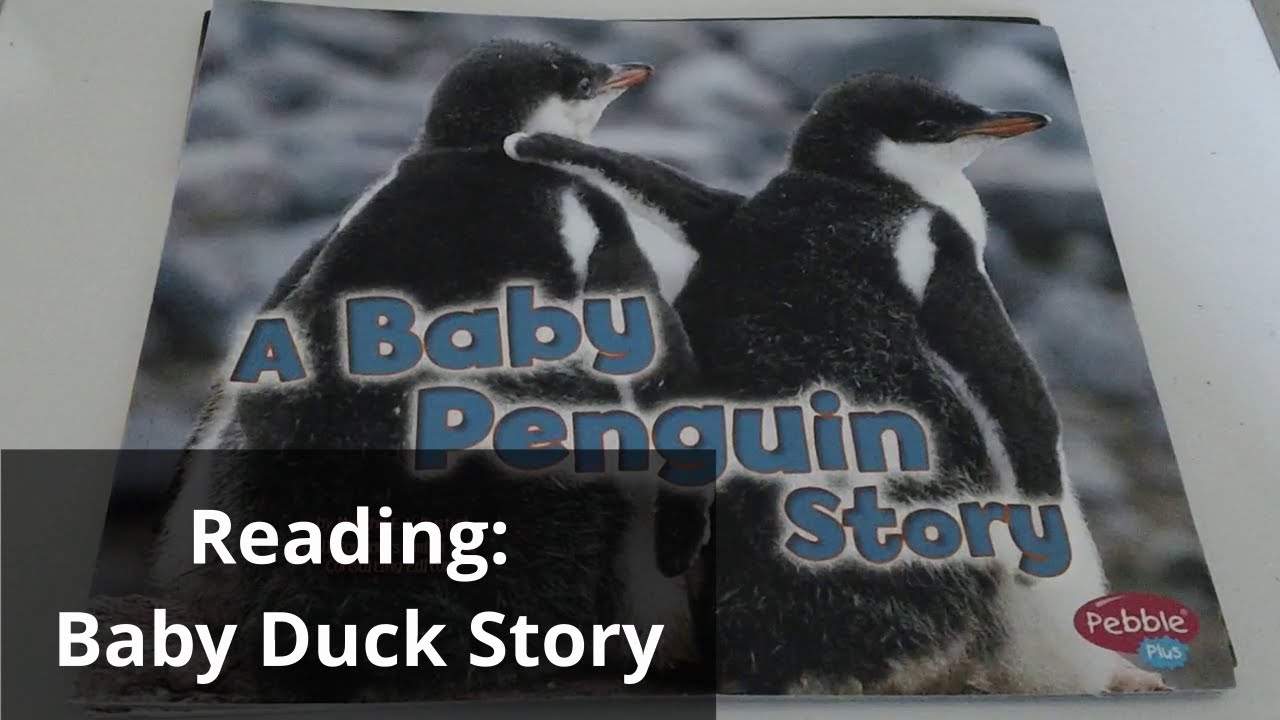 4 10 20 Reading Baby Duck Story - YouTube