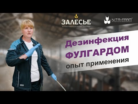 Дезинфекция в животноводстве: опыт применения средства Фулгард