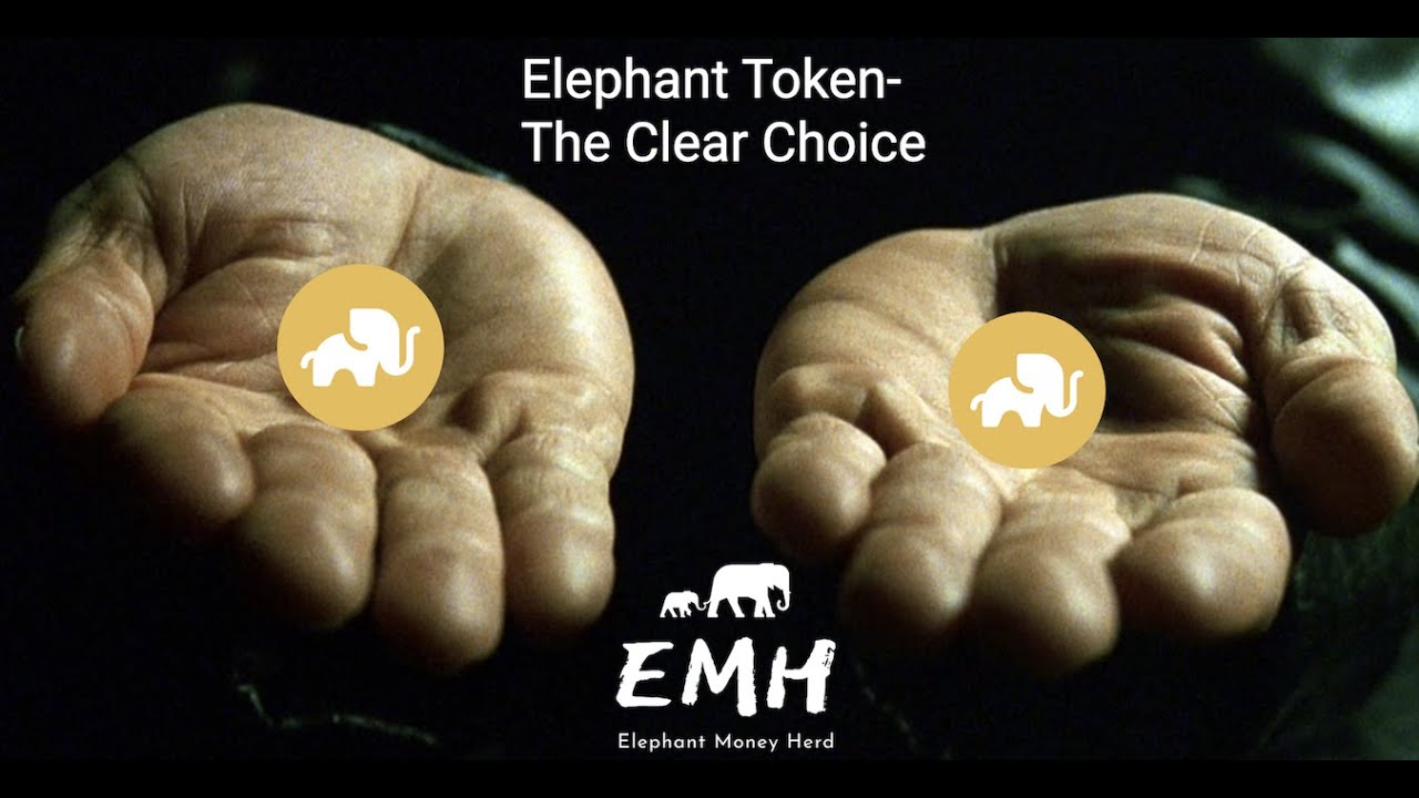 Elephant Money - Why is Elephant Token Outperforming the Market? - YouTube