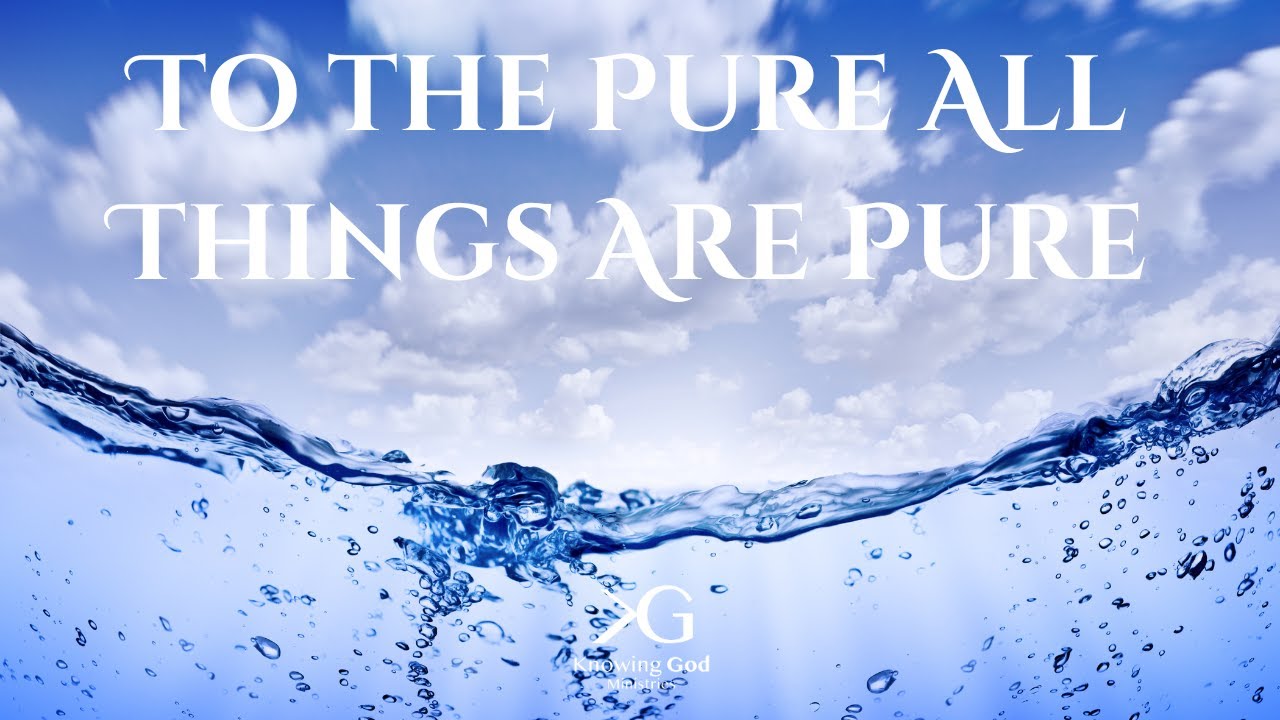To the Pure all things are Pure #god #jesus #faith #jesuschrist # ...