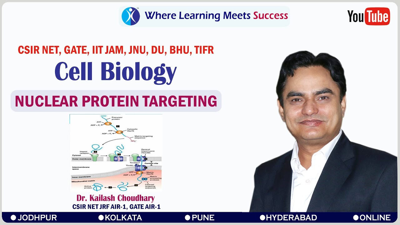 NUCLEAR PROTEIN TARGETING - YouTube