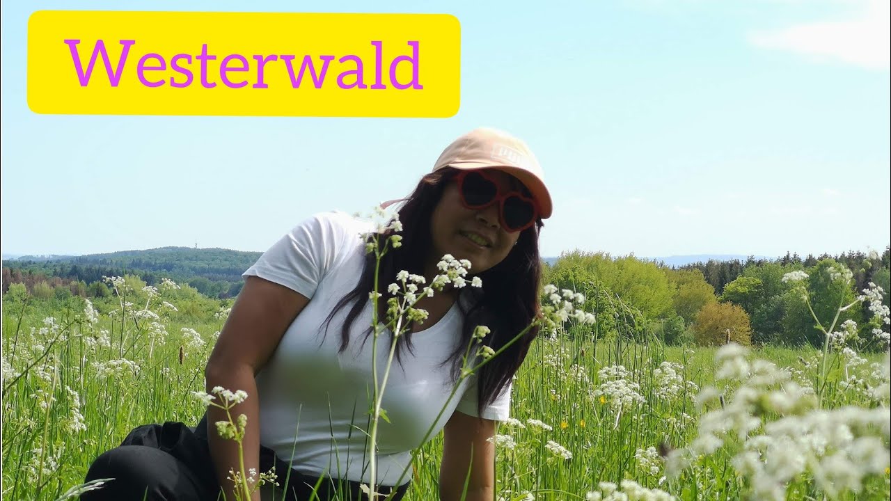 ALPENRODER HÜTTE IM WESTERWALD | WANDERN | HIKING - YouTube
