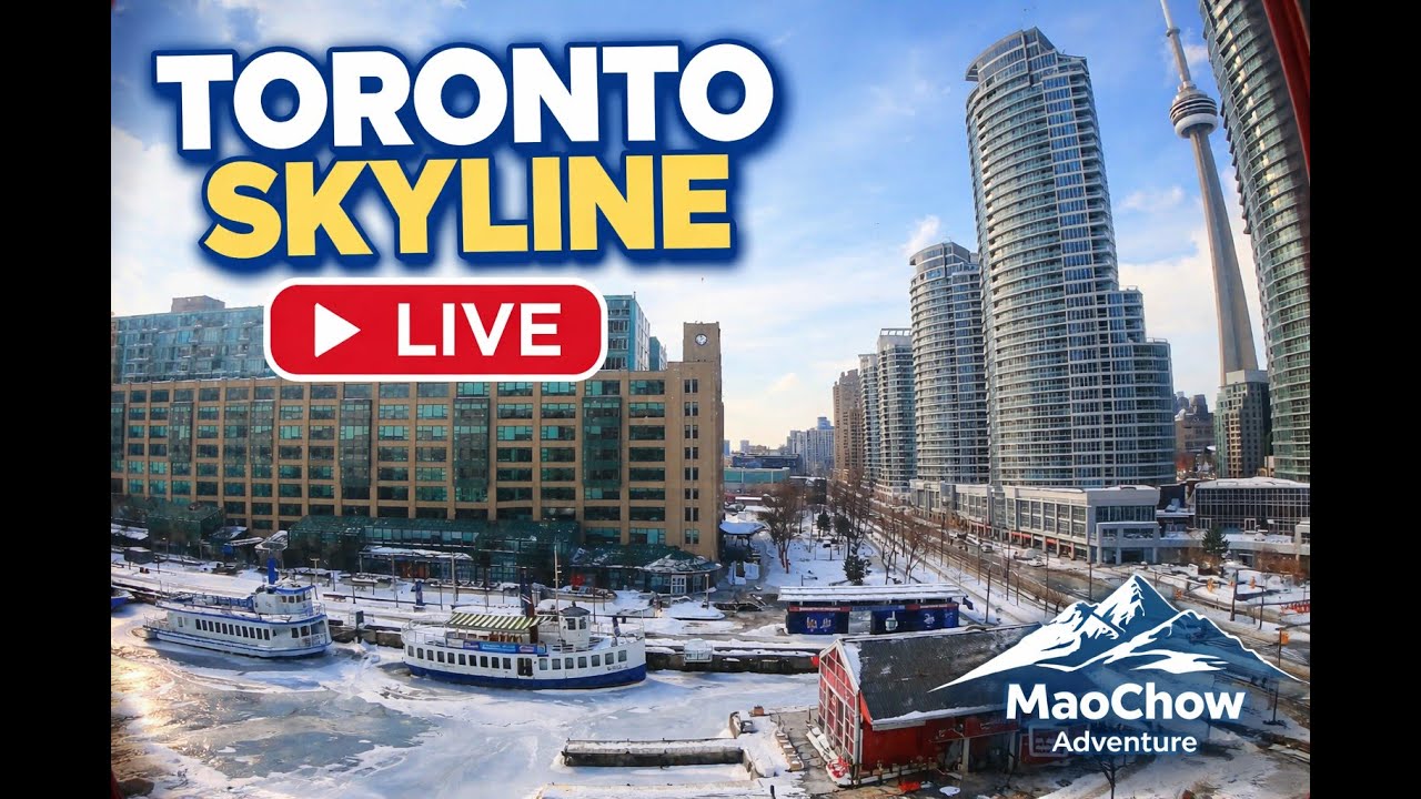Toronto Window Cam LIVE HD | MaoChow Adventure 4th Feb 2026 - YouTube
