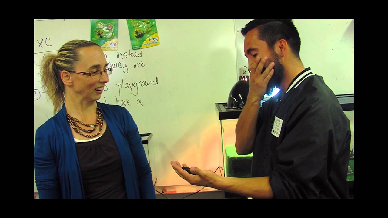 Fear Factor: Hissing Roaches - YouTube