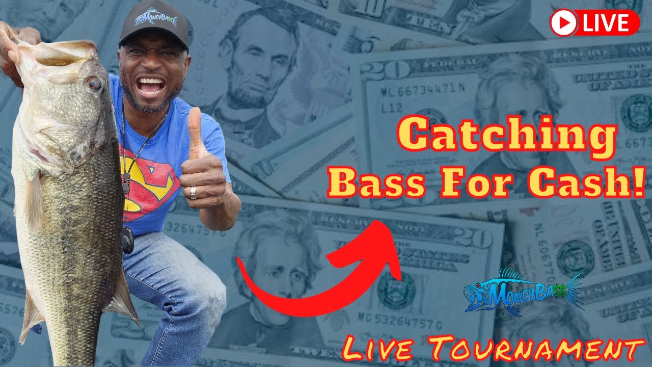 Bass Fishing - Bass for Cash! LIVE Bass Pro Tournament - YouTube