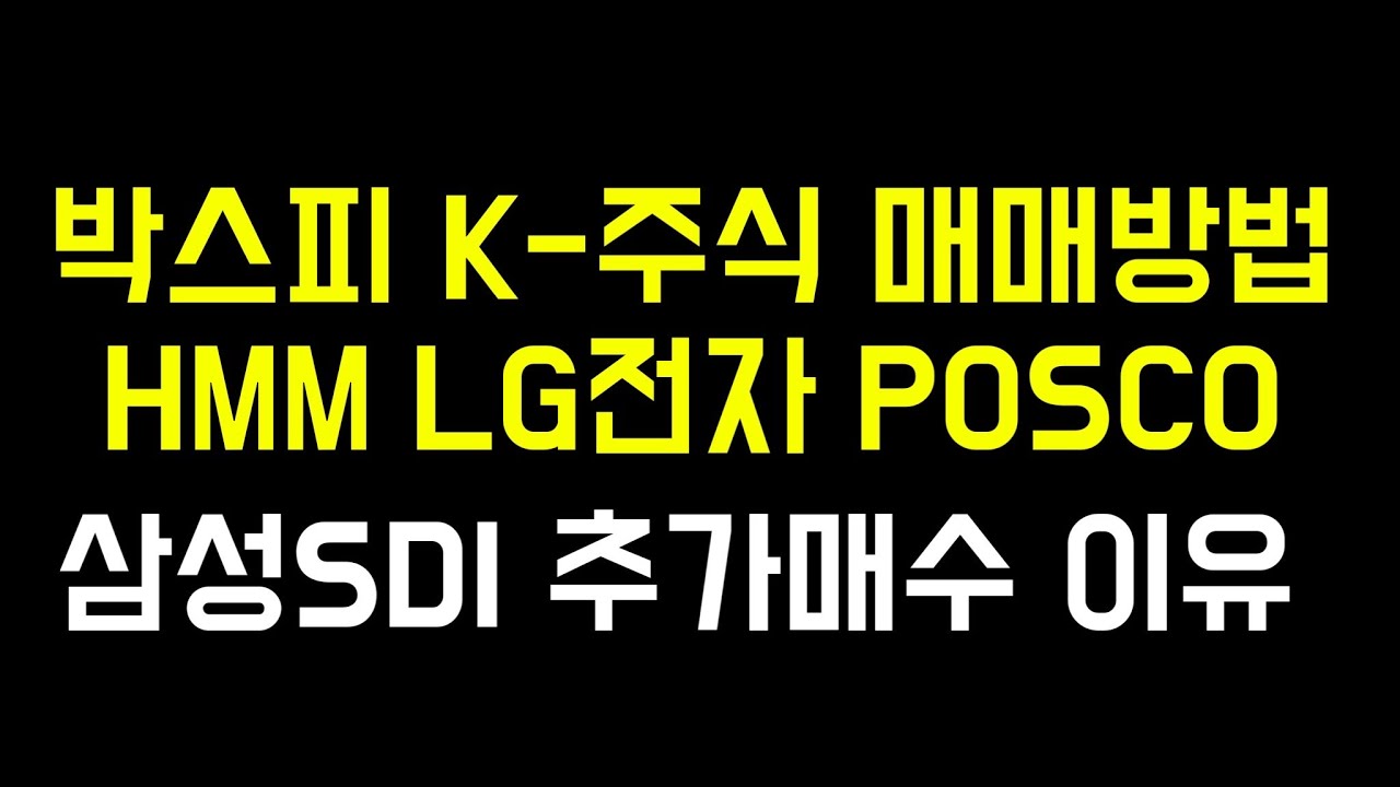 우량주라도 홀딩만 하면 안되는 이유 | HMM LG전자 POSCO홀딩스 | 삼성SDI 추가매수 - YouTube