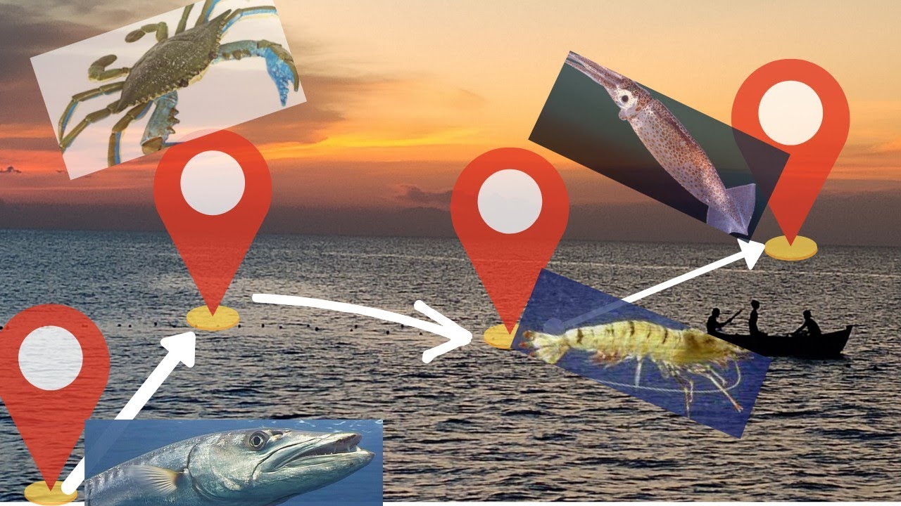Garmin route | marine route | What is route in tracking gps | Route ...