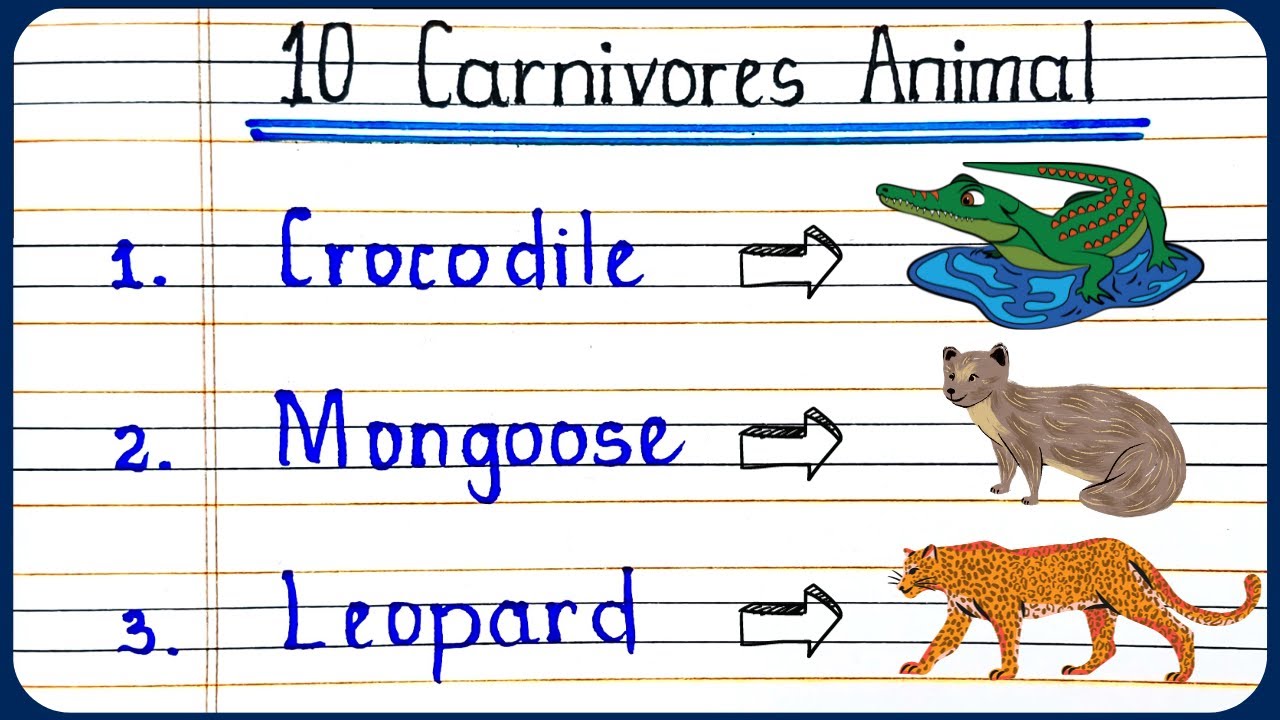 Carnivorous Animals Names Herbivore, Carnivore & Omnivore Animals