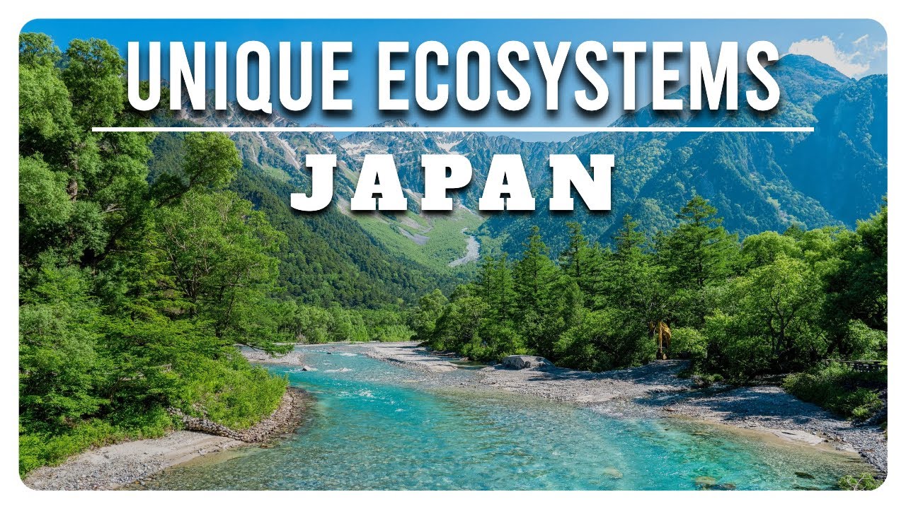 Exploring Japan's Unique Ecosystems 🌿 - Travel Japan - YouTube