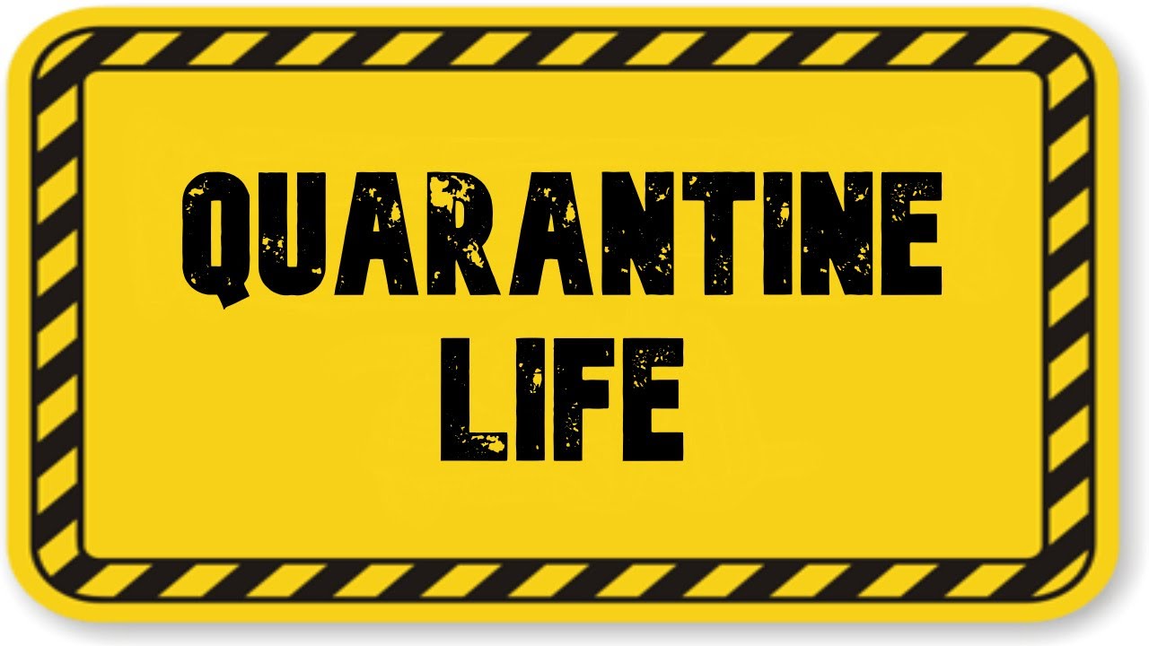 Quarantine Life Lyrics - YouTube
