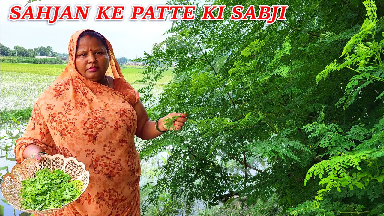 सहजन के पत्ते की पकोड़े वाली सब्जी अगर बनाएंगे तो उंगलियां चाटते रह ...