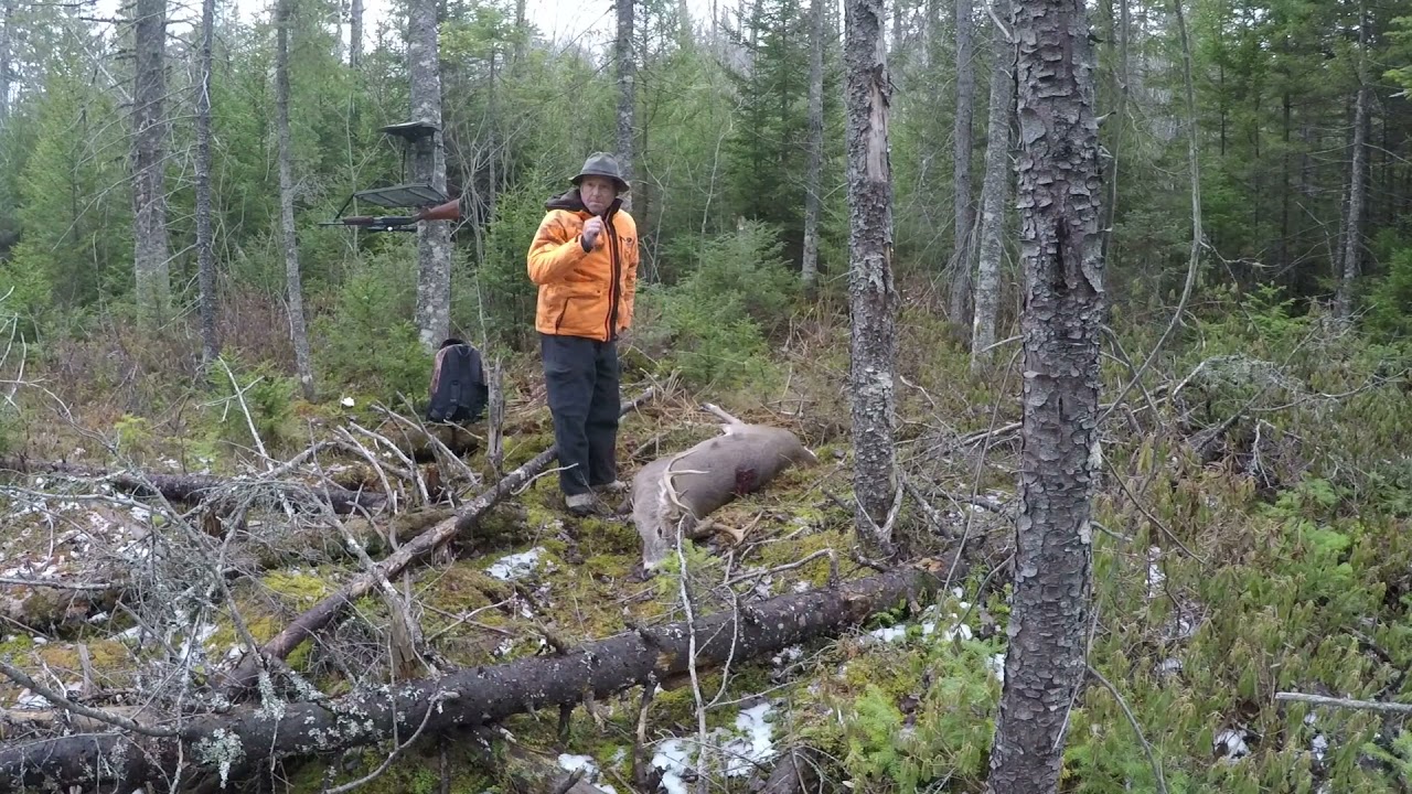 Deer Hunting Dads 2020 NY Public Land Adirondack Buck - YouTube