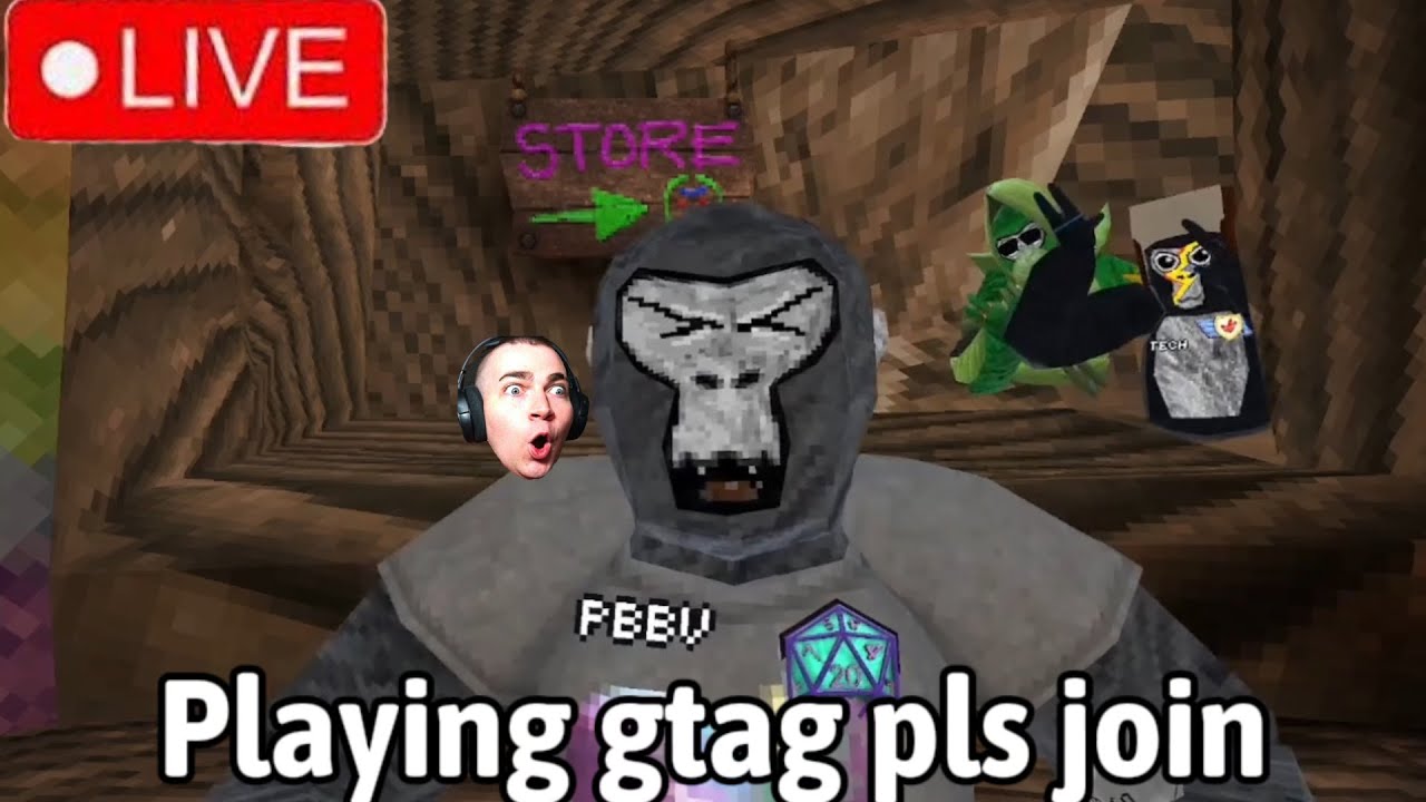 Gorilla Tag vertical live with viewers! - YouTube