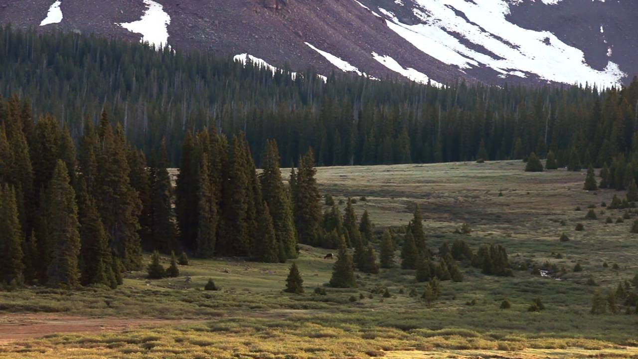 High Uintas Wilderness Backpacking and Elk Scouting - YouTube