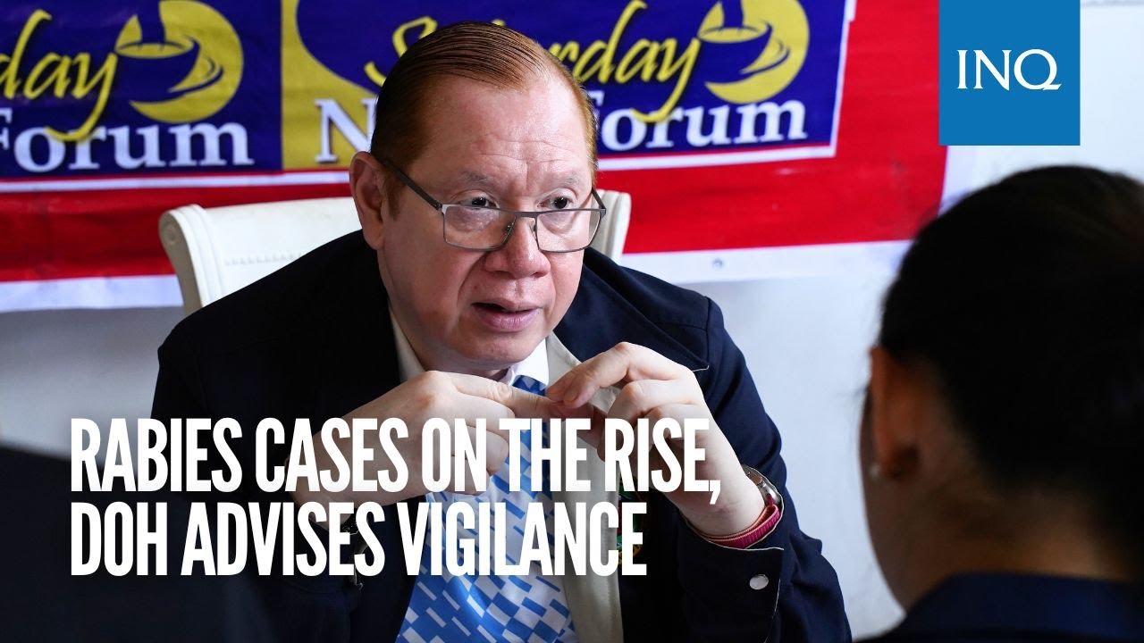 Rabies cases on the rise, DOH advises vigilance - YouTube