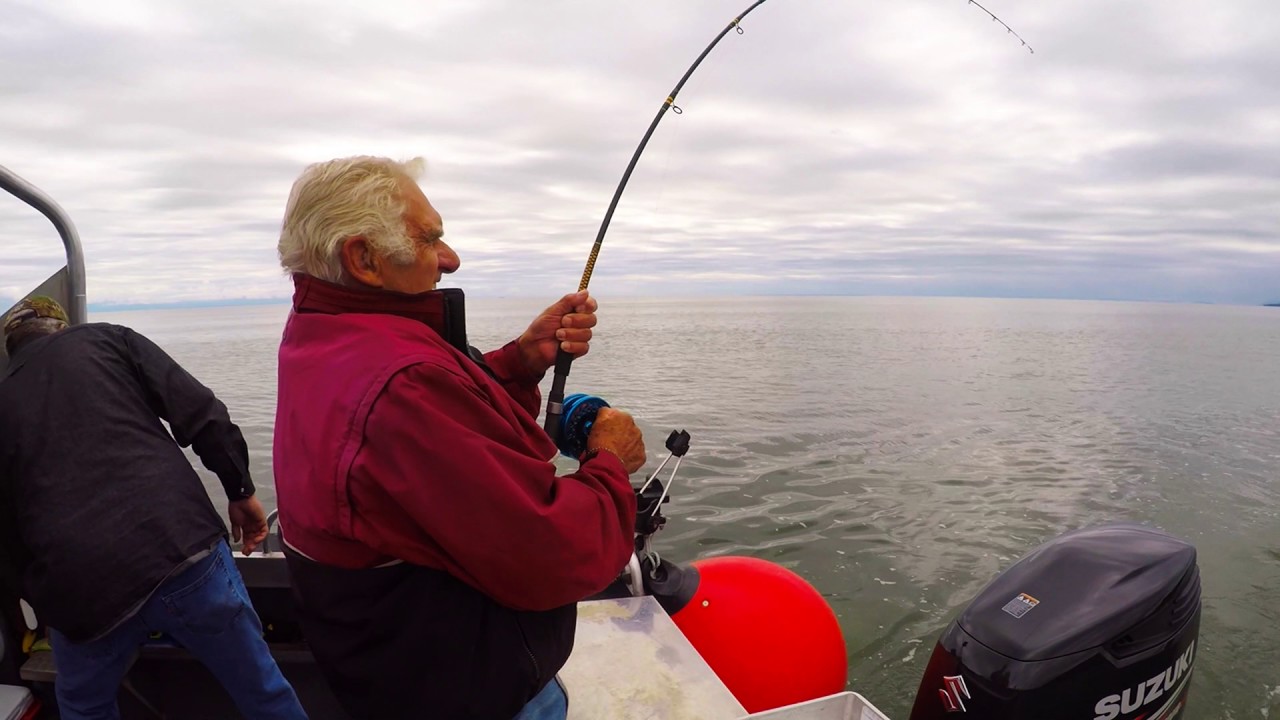 Fishing Everyday June 2017 - YouTube