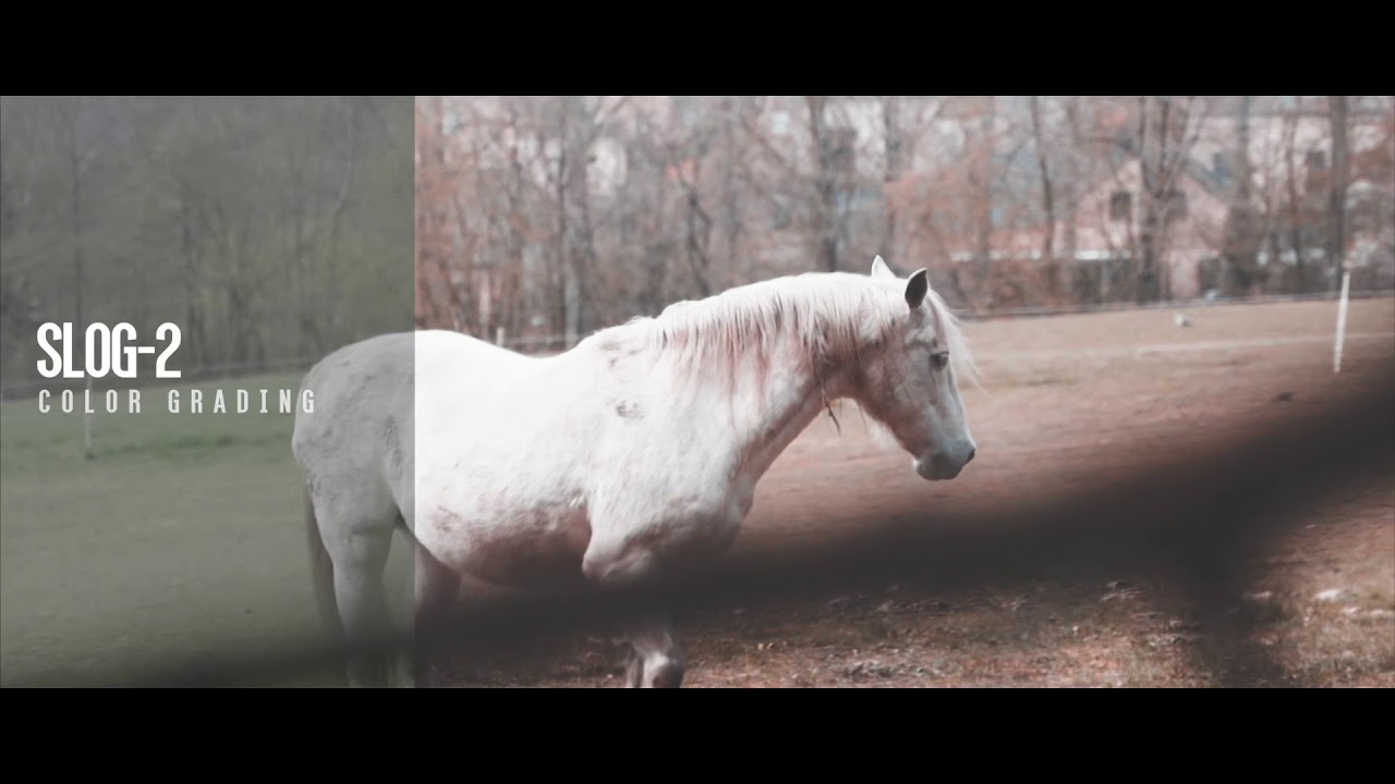 SLOG-2 Color Grading 2020 - YouTube