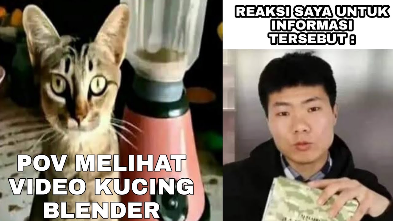 Kucing Blender - YouTube
