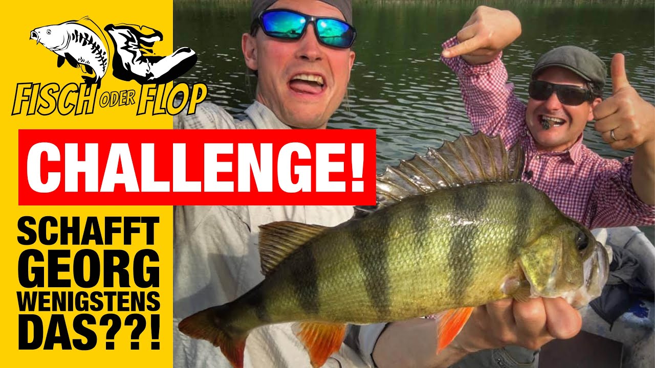 #4 FISCH oder FLOP I Barsch CHALLENGE I - YouTube