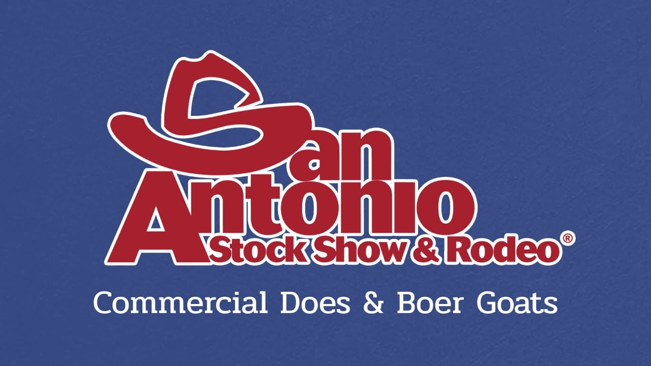 Commercial Does + Boer Goats - San Antonio Stock Show 2026 - YouTube