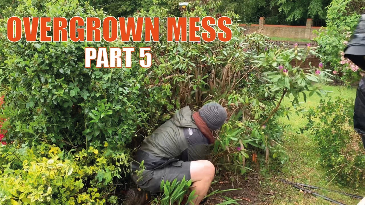 This Homeowner NEEDED Help | Free Overgrown Yard Makeover | Part 5 ...
