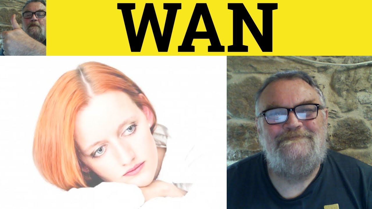 🔵 Wan - Wan Meaning - Wan Examples - Wan Pronunciation - WAN Definition ...
