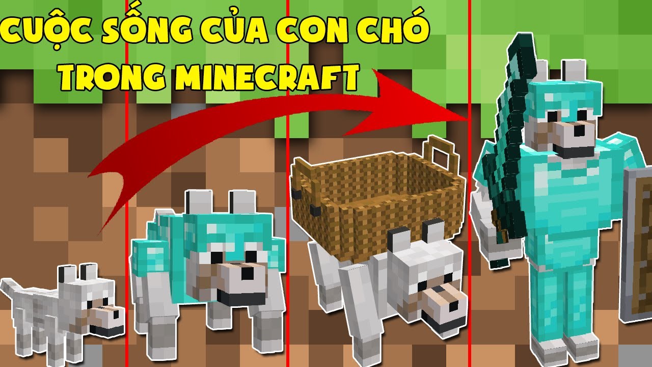 NẾU CON CHÓ CÓ CUỘC SỐNG TRONG MINECRAFT ** THỬ THÁCH T GAMING SỞ HỮU ...