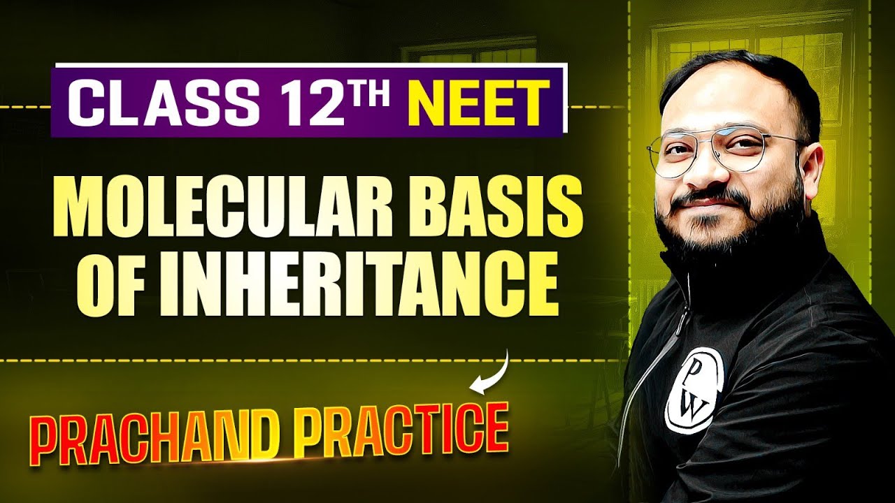 Molecular basis of Inheritance PYQ's Video Solution | PRACHAND Practice Series | NEET 2025 - YouTube