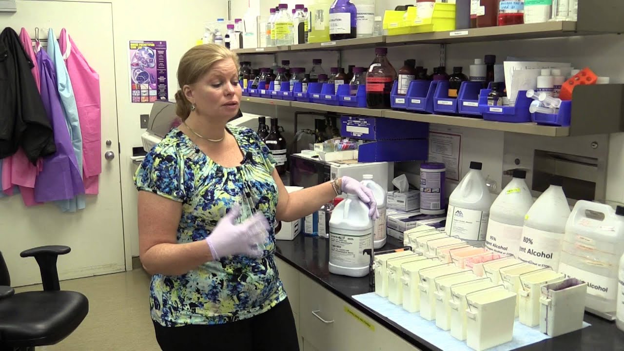 H&E Regressive Stain Setup - YouTube