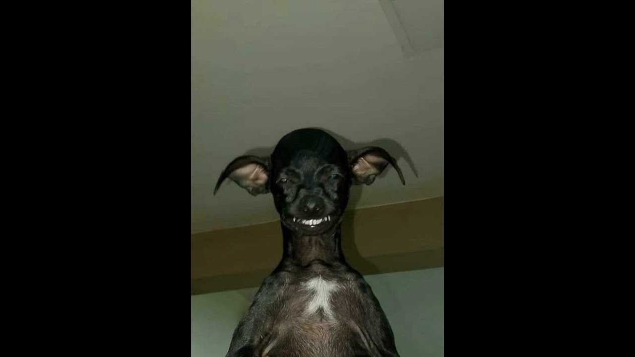 calma calabreso - YouTube