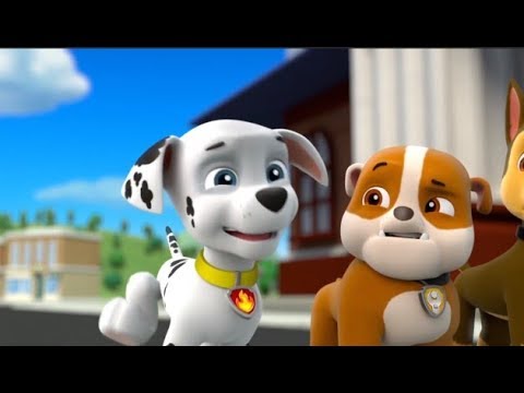 Paw Patrol Funny Moments - Best Animation Moments For Kids #4 - YouTube