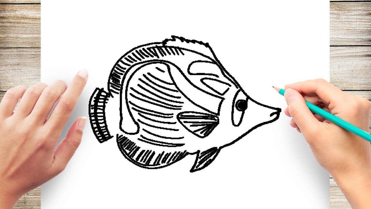 How to Draw Butterflyfishes - YouTube