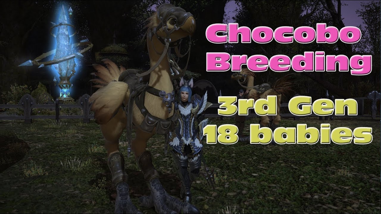 3rd Gen - Chocobo Breeding for the Perfect Bird - 18 babies! - FF14 ...