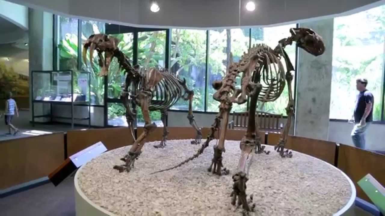 04 - La Brea Tar Pits Page Museum - YouTube